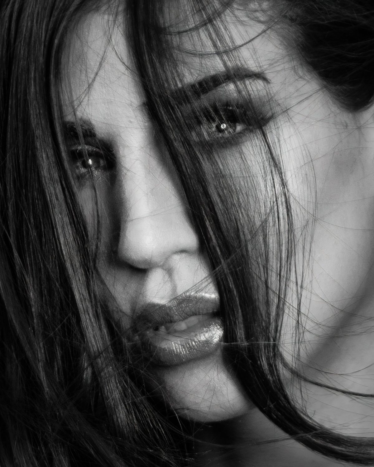 Home - Neal Bailey Studios